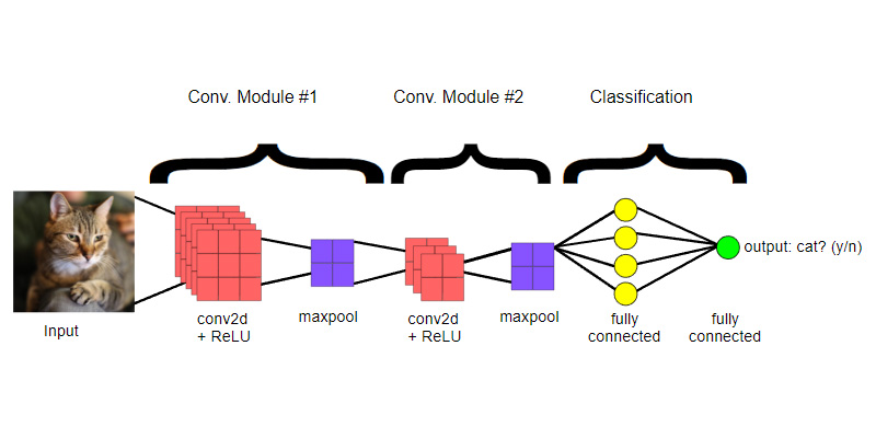 เปิดตัว Google Machine Learning Practica สอนฟรี Image Classification ...