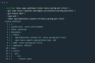 VMware Tanzu Application Platform เครื่องมือสนับสนุนนักพัฒนาซอฟต์แวร์ โฟกัสการเขียนโค้ดได้มาก ...